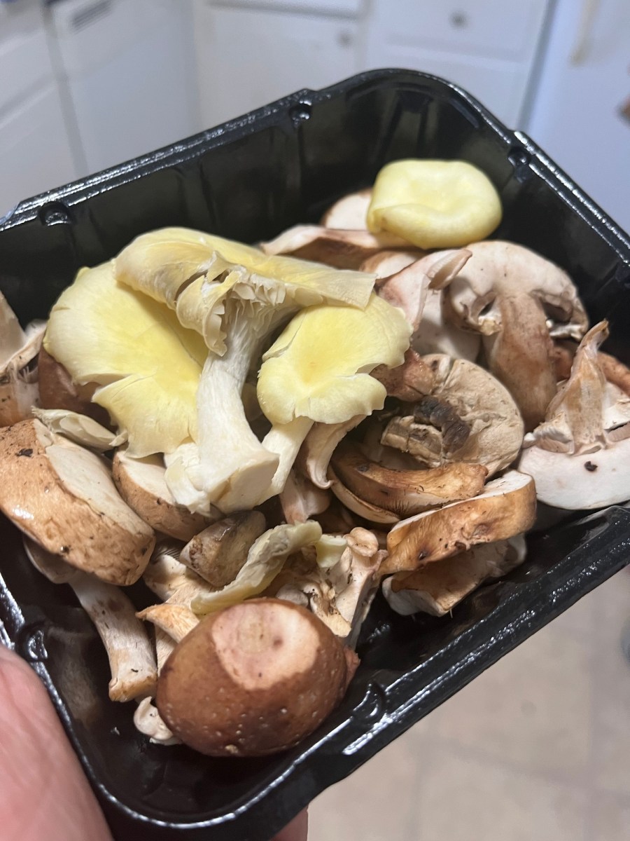 Mushrooms, a Mushy Brain, and Music – Running In My Head