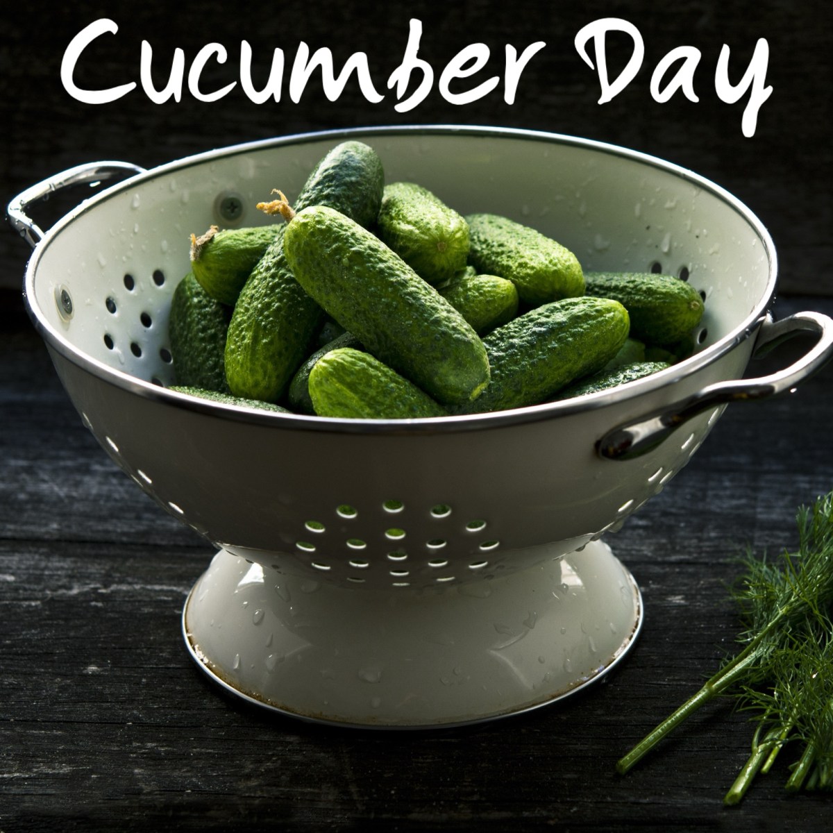 Cucumber Day – Running In My Head